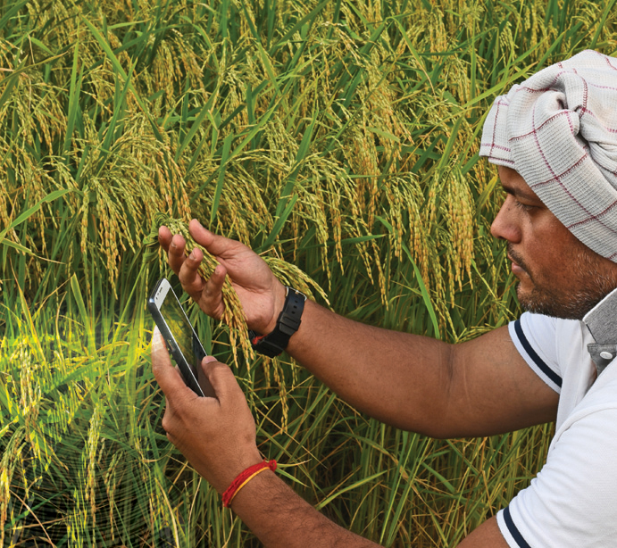 Technology Makeover: Digital India aims to develop a knowledge economy