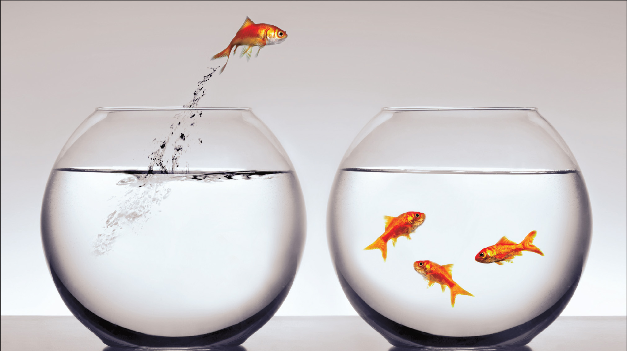 Ease of Porting: TRAI initiates consultation to improve the MNP process